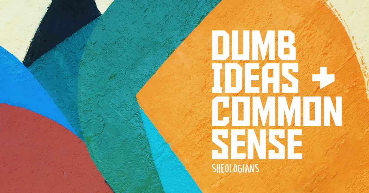 Dumb Ideas & Common Sense - Sheologians