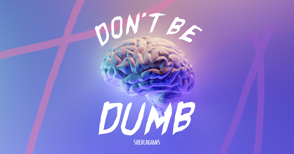 Don't Be Dumb - Sheologians